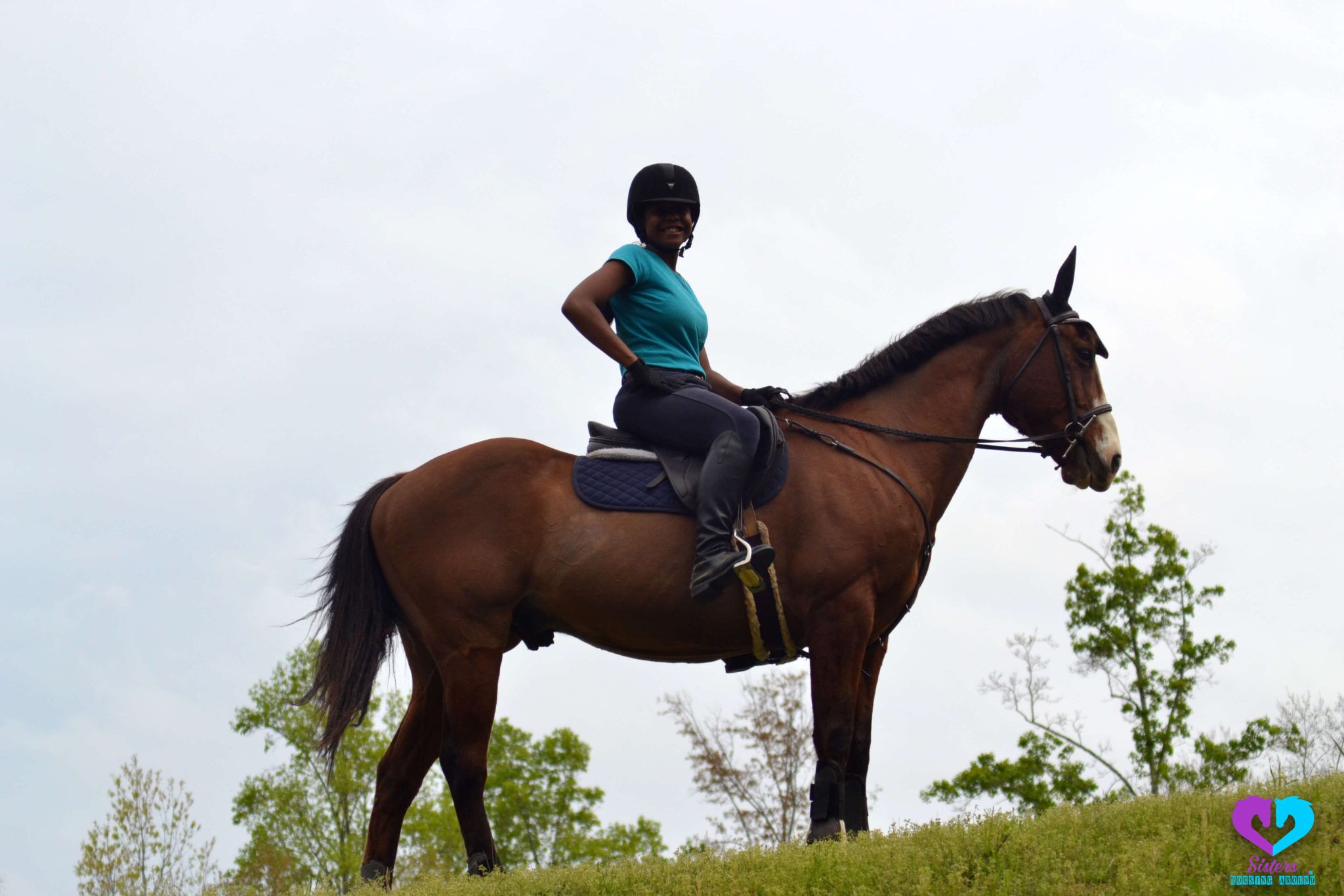 What are some horse riding confidence exercises? - Horse Rookie