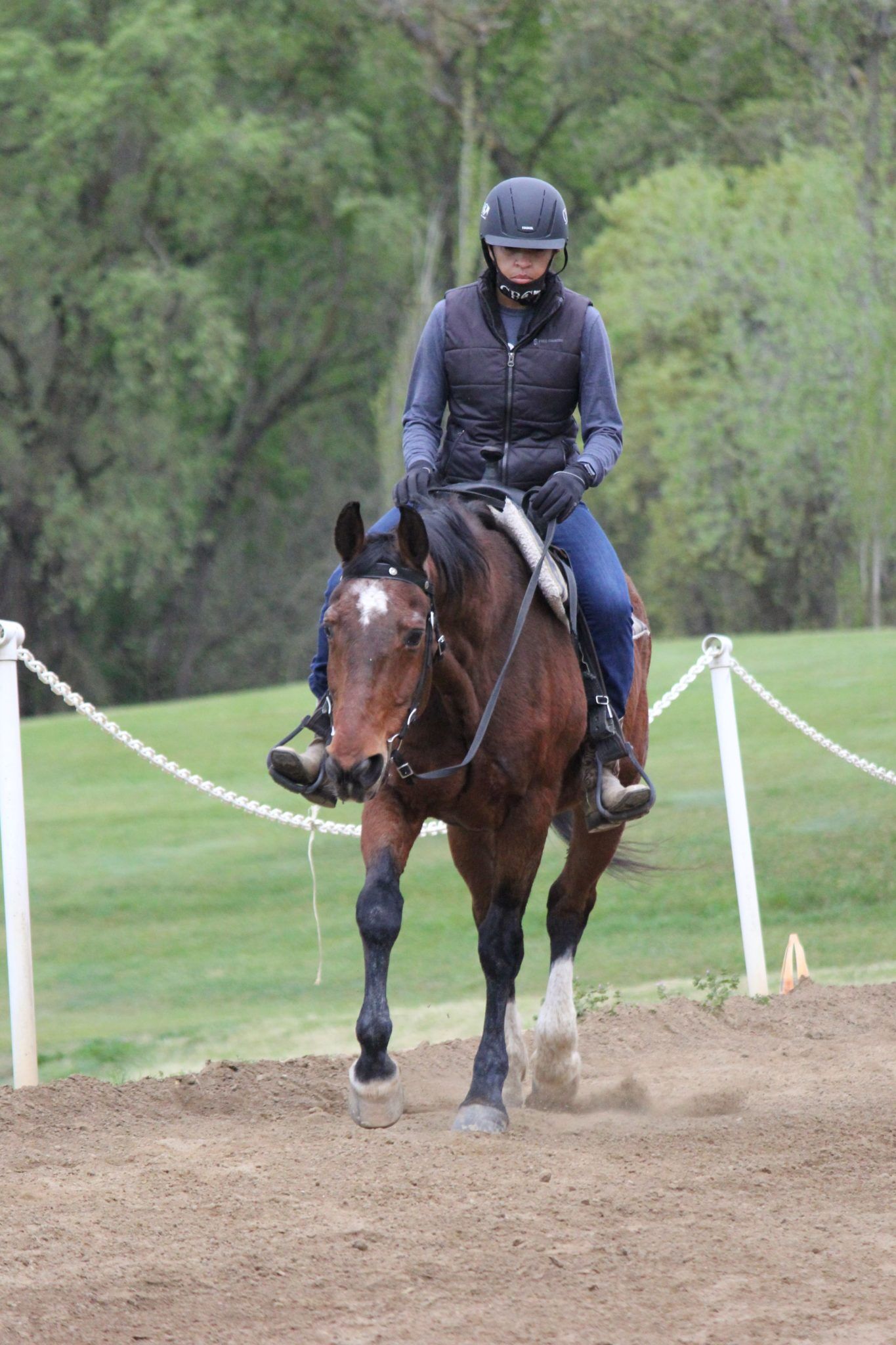 Do you ever forget how to ride a horse? - Horse Rookie