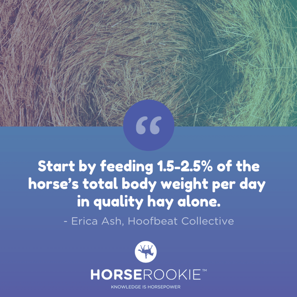 Winter Hay 101: How Much to Feed Your Horse (And Why) - Horse Rookie