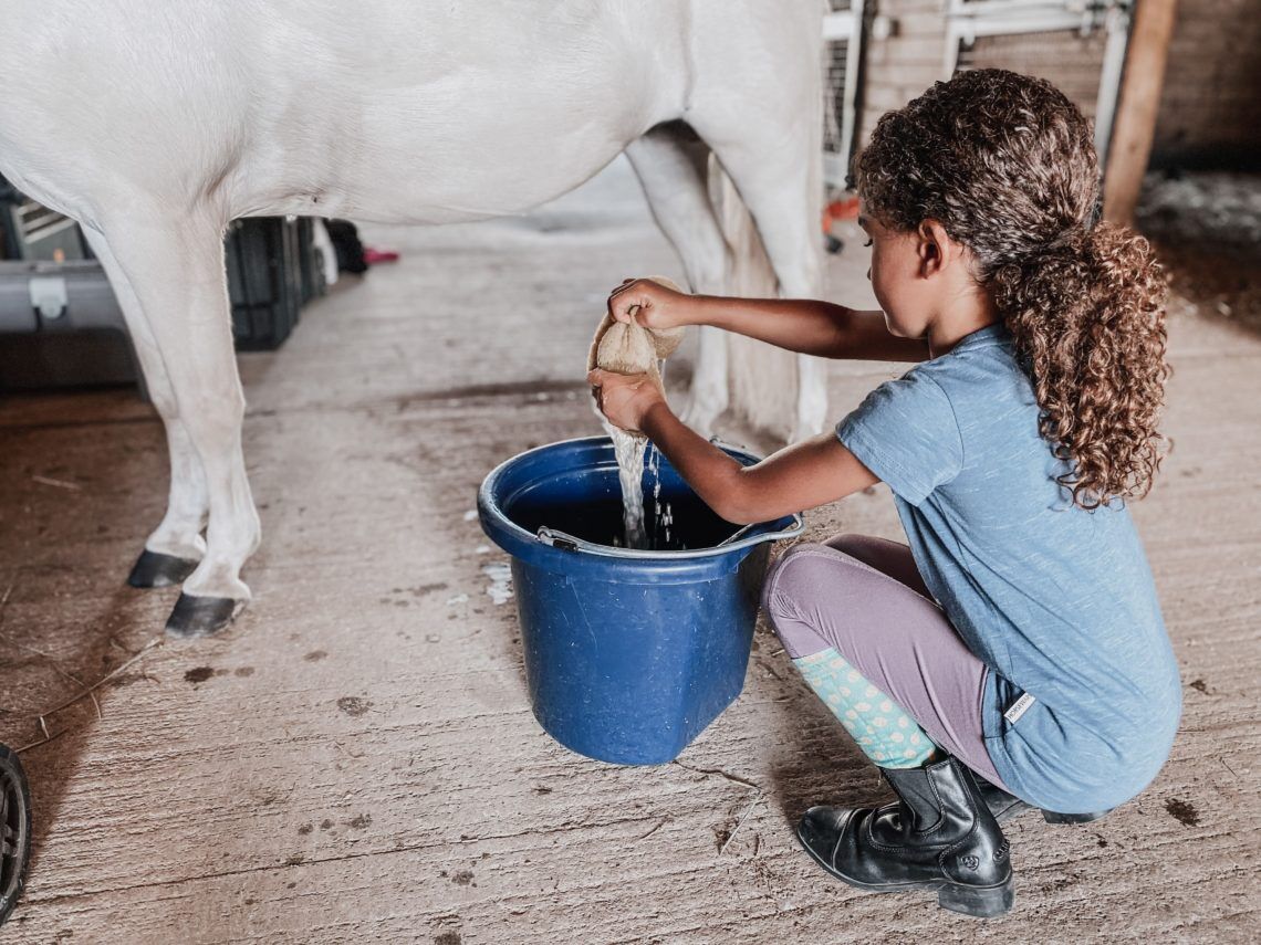Pony Lifespan 101 (Life Stages, Teeth, Senior Pony Care) - Horse Rookie