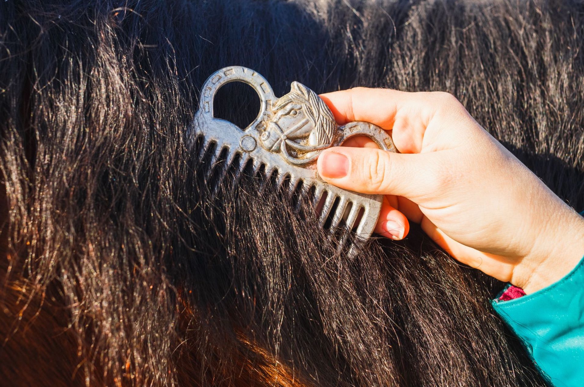 Expert Tips on How to Create the 3 Easiest Mane Braids - Horse Rookie