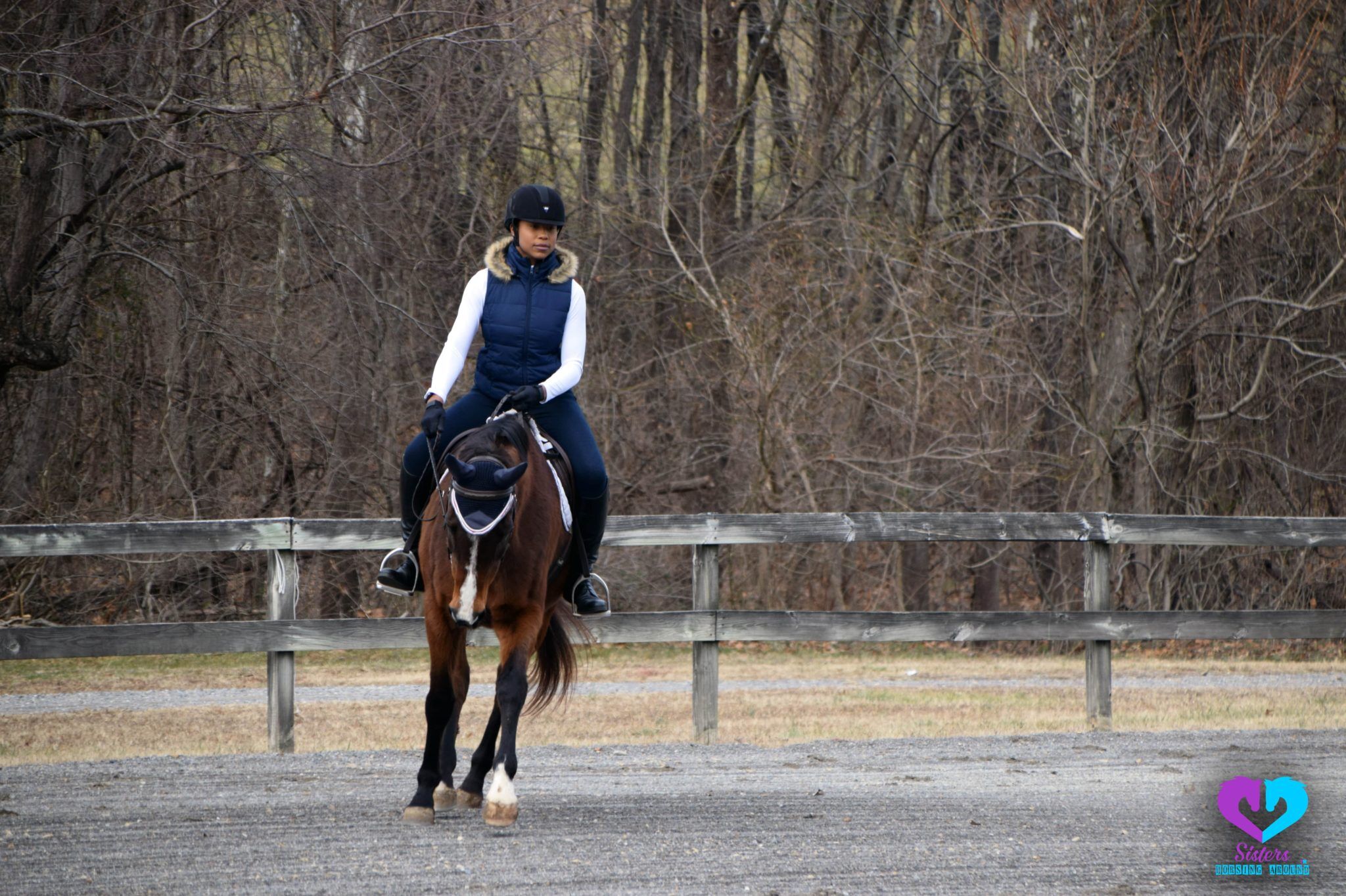 Do you ever forget how to ride a horse? - Horse Rookie