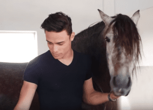 Matt Harnacke Inside Scoop (Bio, Horses, Vlog, Fan Quiz) - Horse Rookie