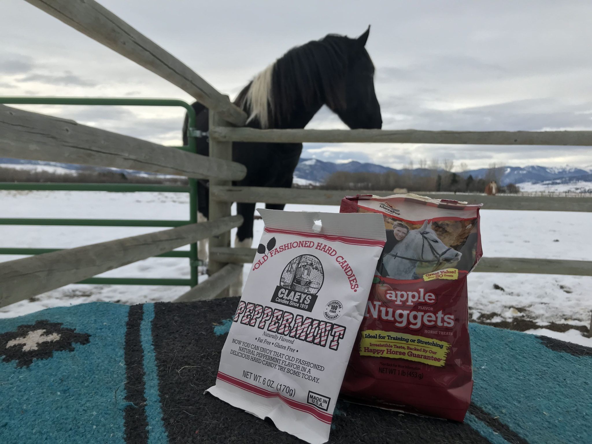 SaddleBox Unpacked: Horse Subscription Box Review + Pics - Horse Rookie