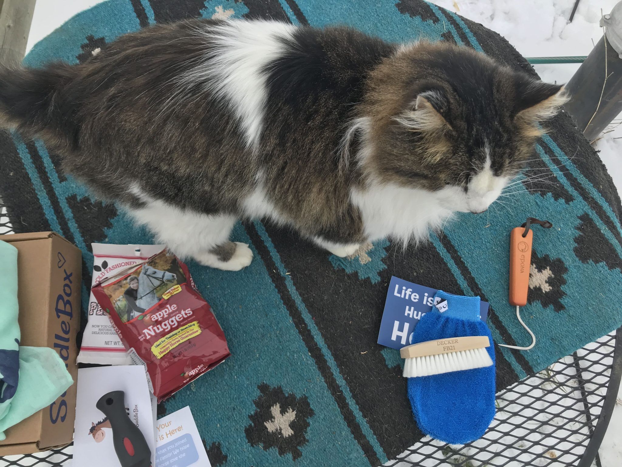 SaddleBox Unpacked: Horse Subscription Box Review + Pics - Horse Rookie