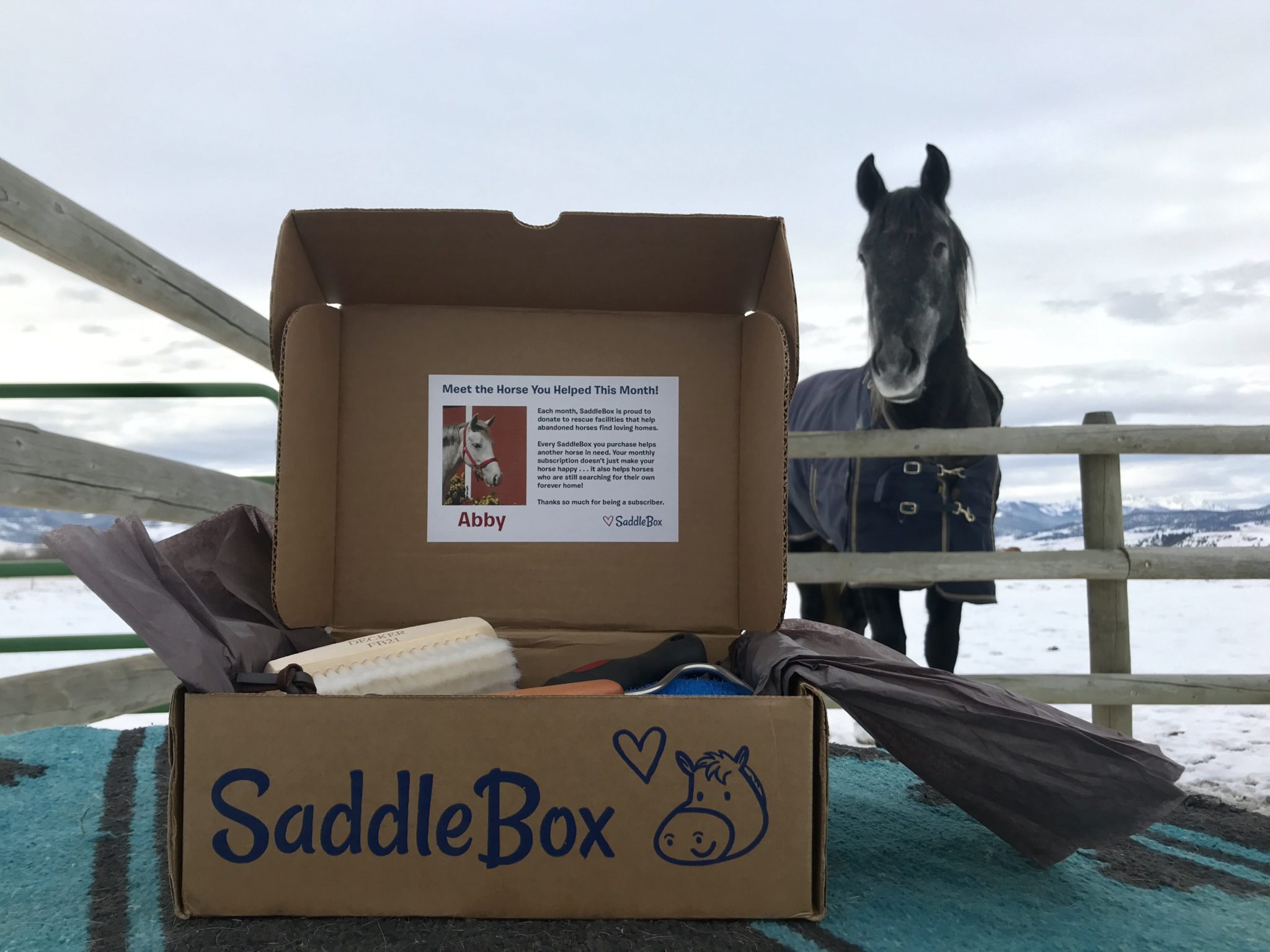 SaddleBox Unpacked: Horse Subscription Box Review + Pics - Horse Rookie