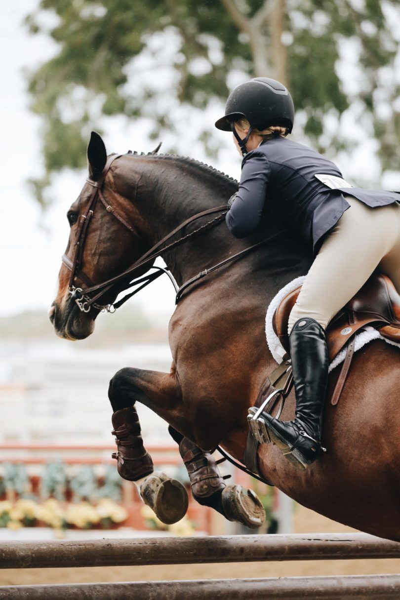 What is the correct jumping position for horse riders? - Horse Rookie