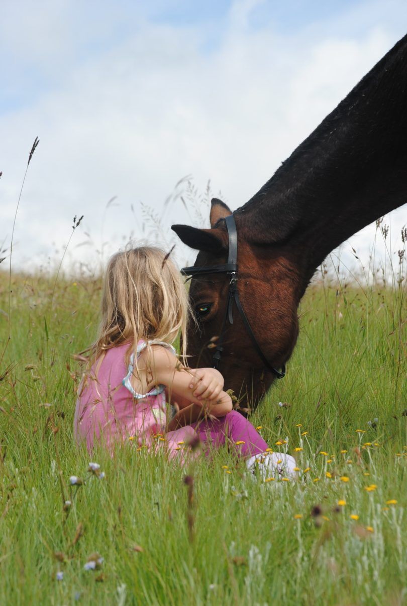 6 Parent-Friendly Reasons to Let Your Child Ride Horses - Horse Rookie