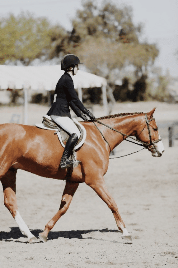 How exactly do you "fold" when jumping a horse? - Horse Rookie