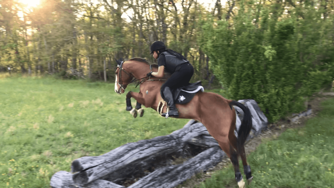 Horse Show Jumping: A Complete Beginners Guide - Horse Rookie