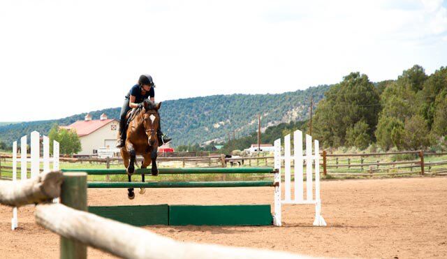 3 Reasons horseback riding is fun (and worth it) - Horse Rookie