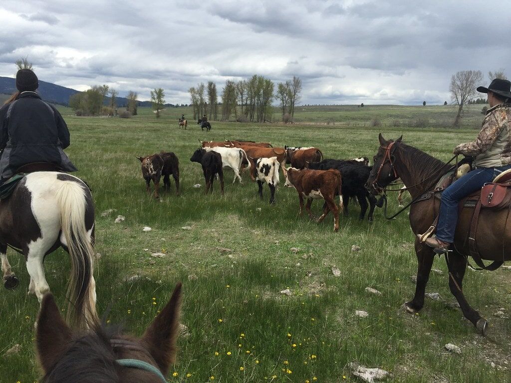 7 Best Horseback Riding Vacations for Single Travelers - Horse Rookie