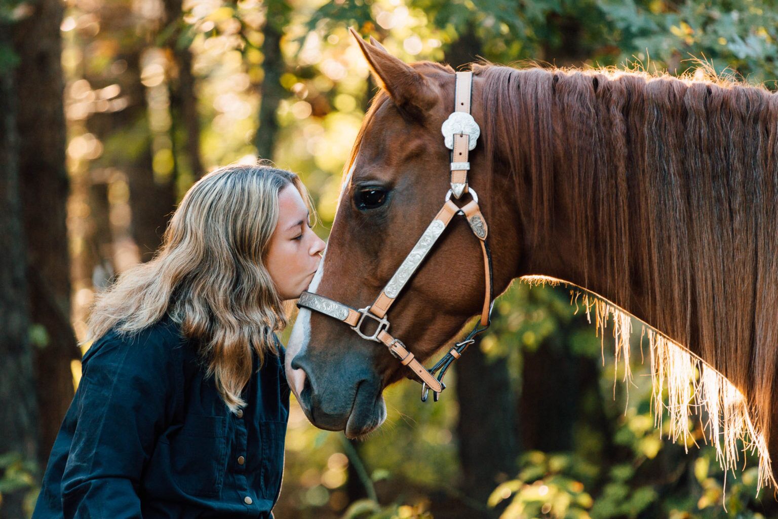 Horse Photography (Pro Tips, Settings, Editing, Examples) - Horse Rookie