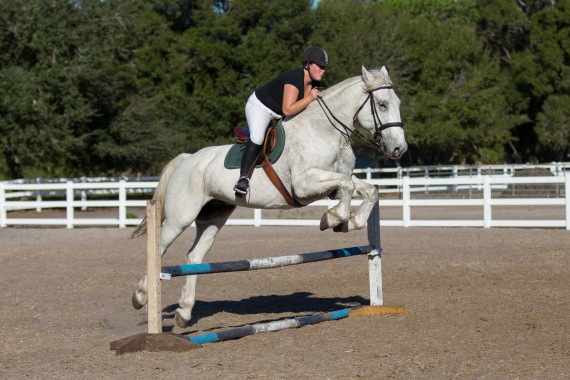 Horse Photography (Pro Tips, Settings, Editing, Examples) - Horse Rookie