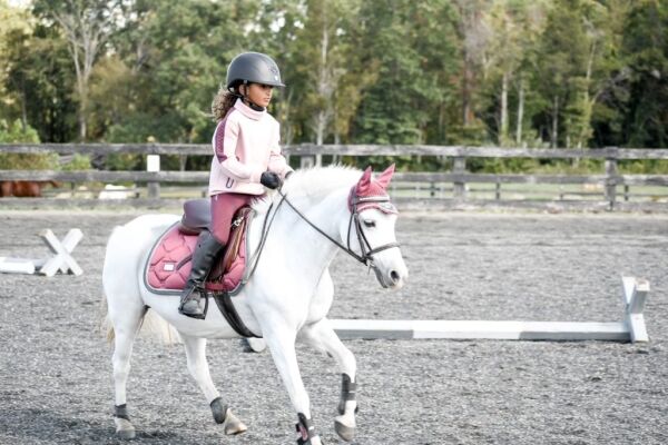 12 Pointers for Jumping Crossrails with Confidence - Horse Rookie