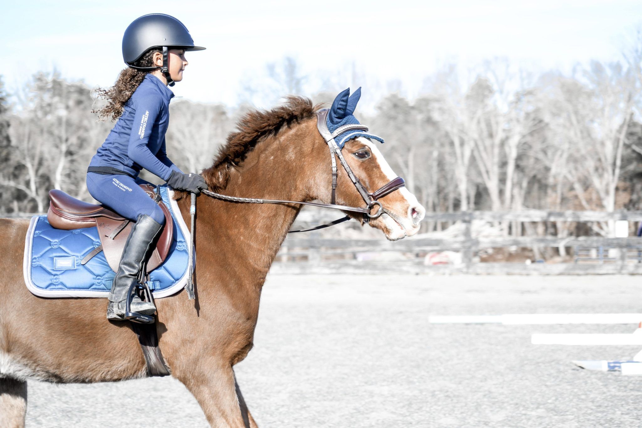 12 Pointers for Jumping Crossrails with Confidence - Horse Rookie
