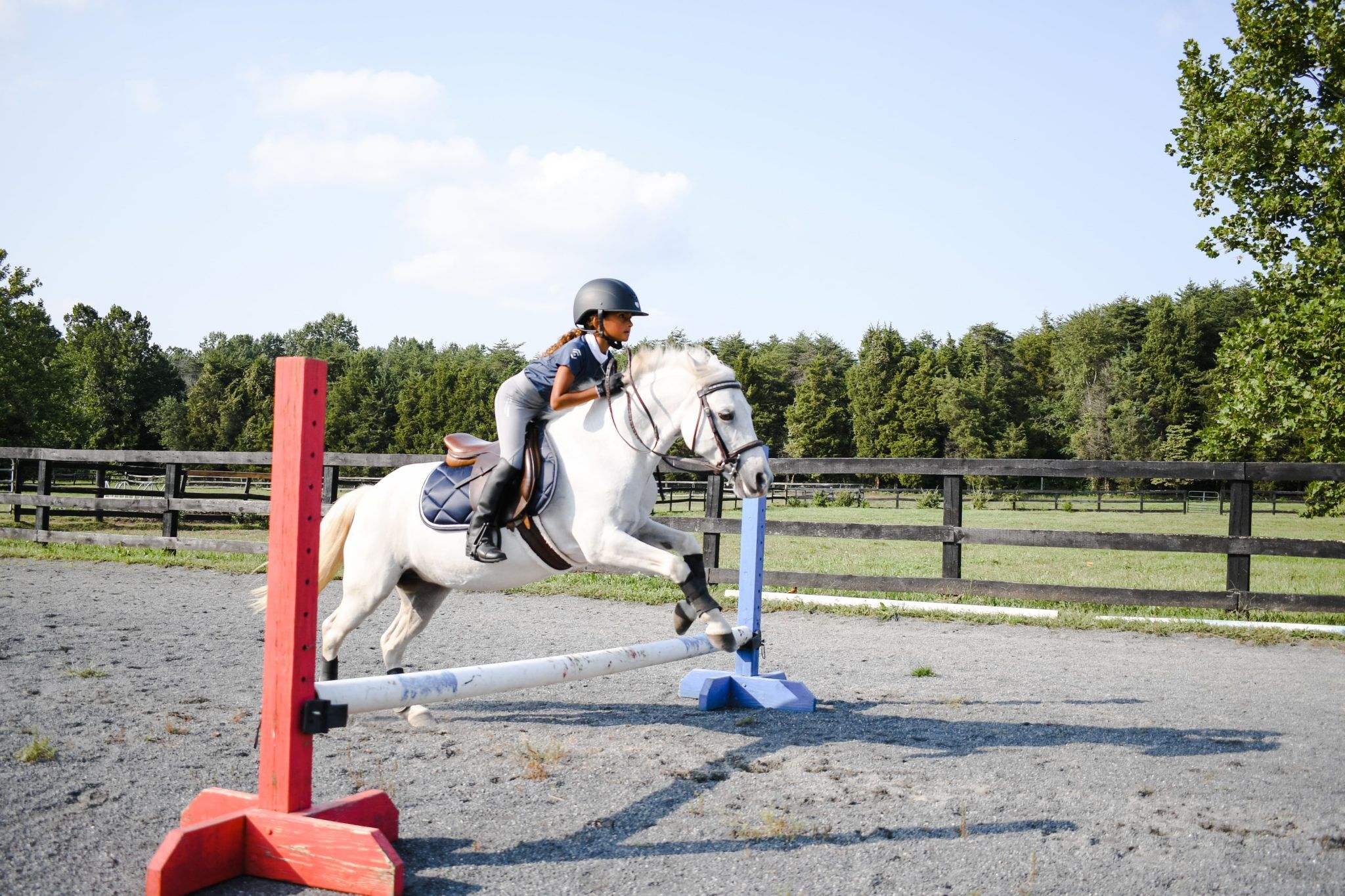 12 Pointers for Jumping Crossrails with Confidence - Horse Rookie