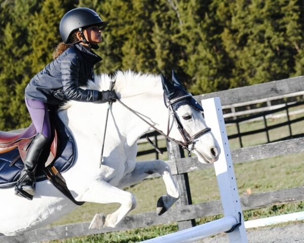 12 Pointers for Jumping Crossrails with Confidence - Horse Rookie