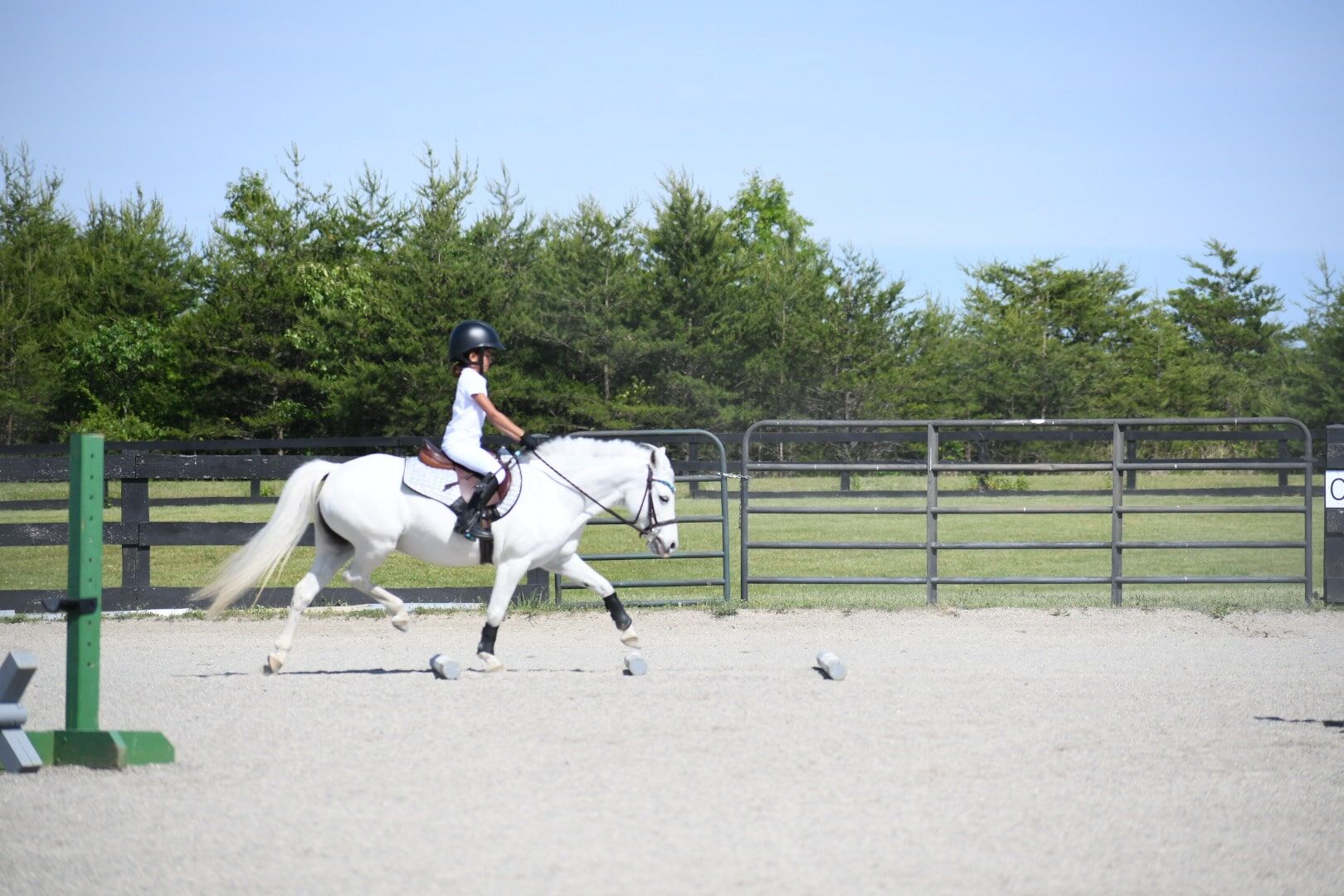 12 Pointers for Jumping Crossrails with Confidence - Horse Rookie