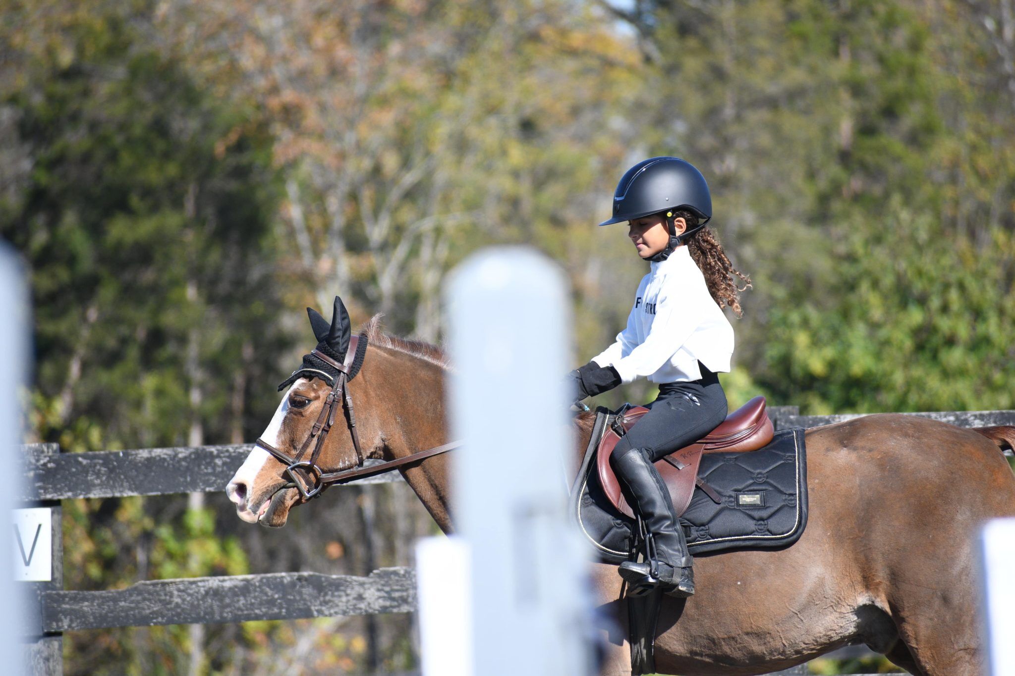 12 Pointers for Jumping Crossrails with Confidence - Horse Rookie