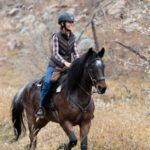 5 Rare Horse Breeds You've Probably Never Heard Of - Horse Rookie