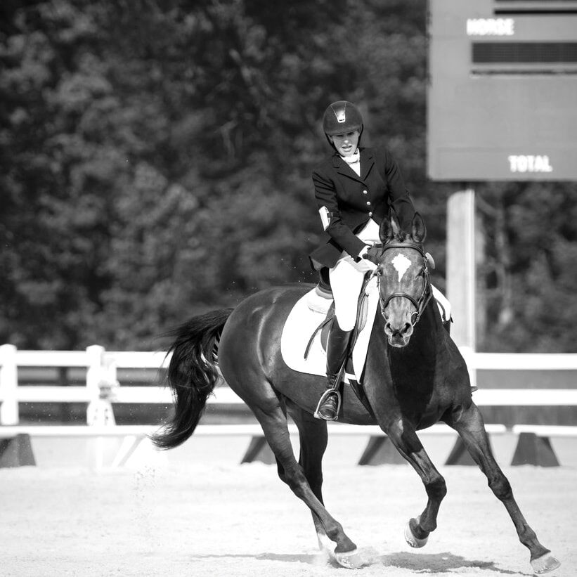 3 Easy Tips: How to Approach a Horse Jump for Beginners - Horse Rookie