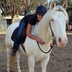 5 Rare Horse Breeds You've Probably Never Heard Of - Horse Rookie