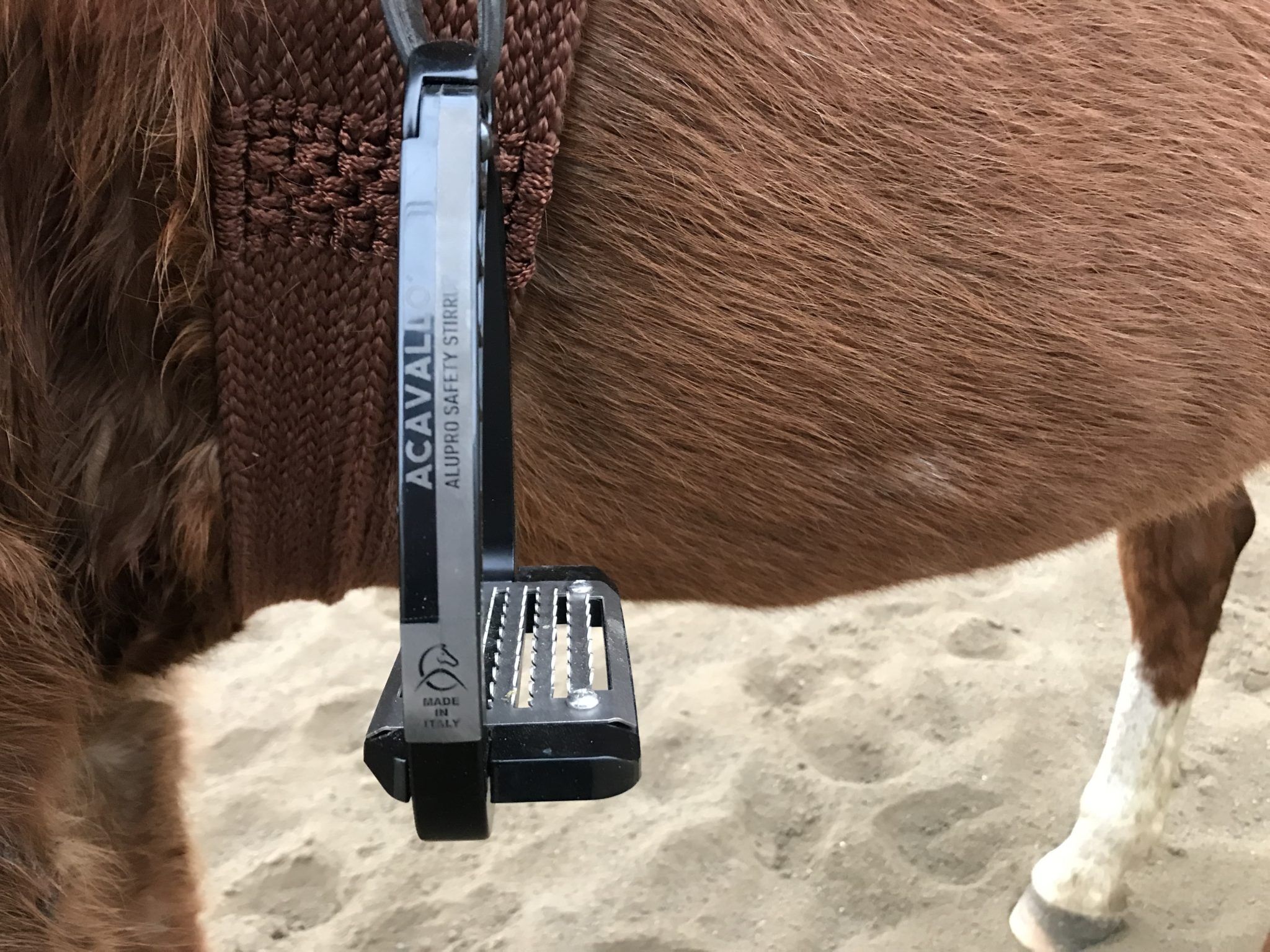 Acavallo Stirrups Review: Why I Feel Safer Than Ever - Horse Rookie