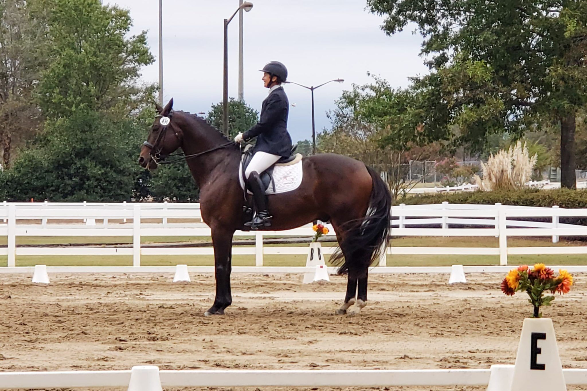 7 Ways to Wow Judges & Improve Your Dressage Scores - Horse Rookie