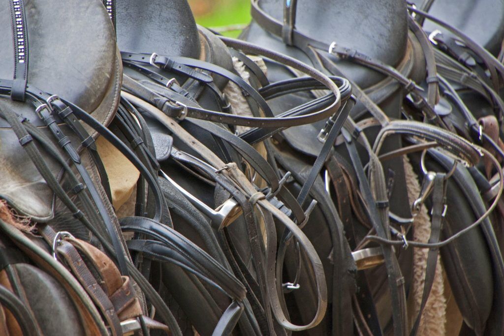 How to Be the Tack Room Neighbor Other Riders Don't Hate - Horse Rookie