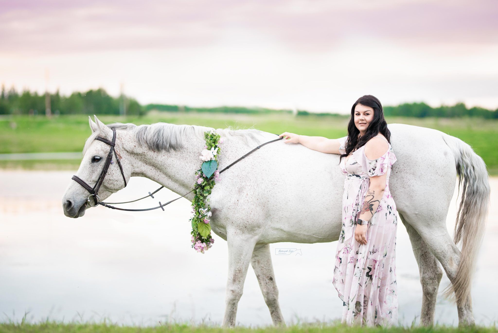 7 Tips to Prepare for the Perfect Horse Photo Shoot - Horse Rookie