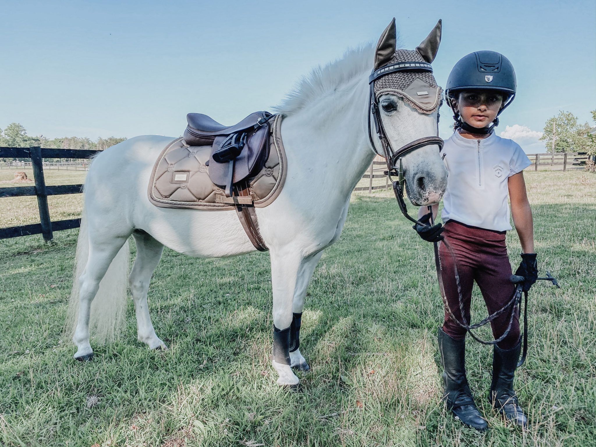 Pony Lifespan 101 (Life Stages, Teeth, Senior Pony Care) - Horse Rookie