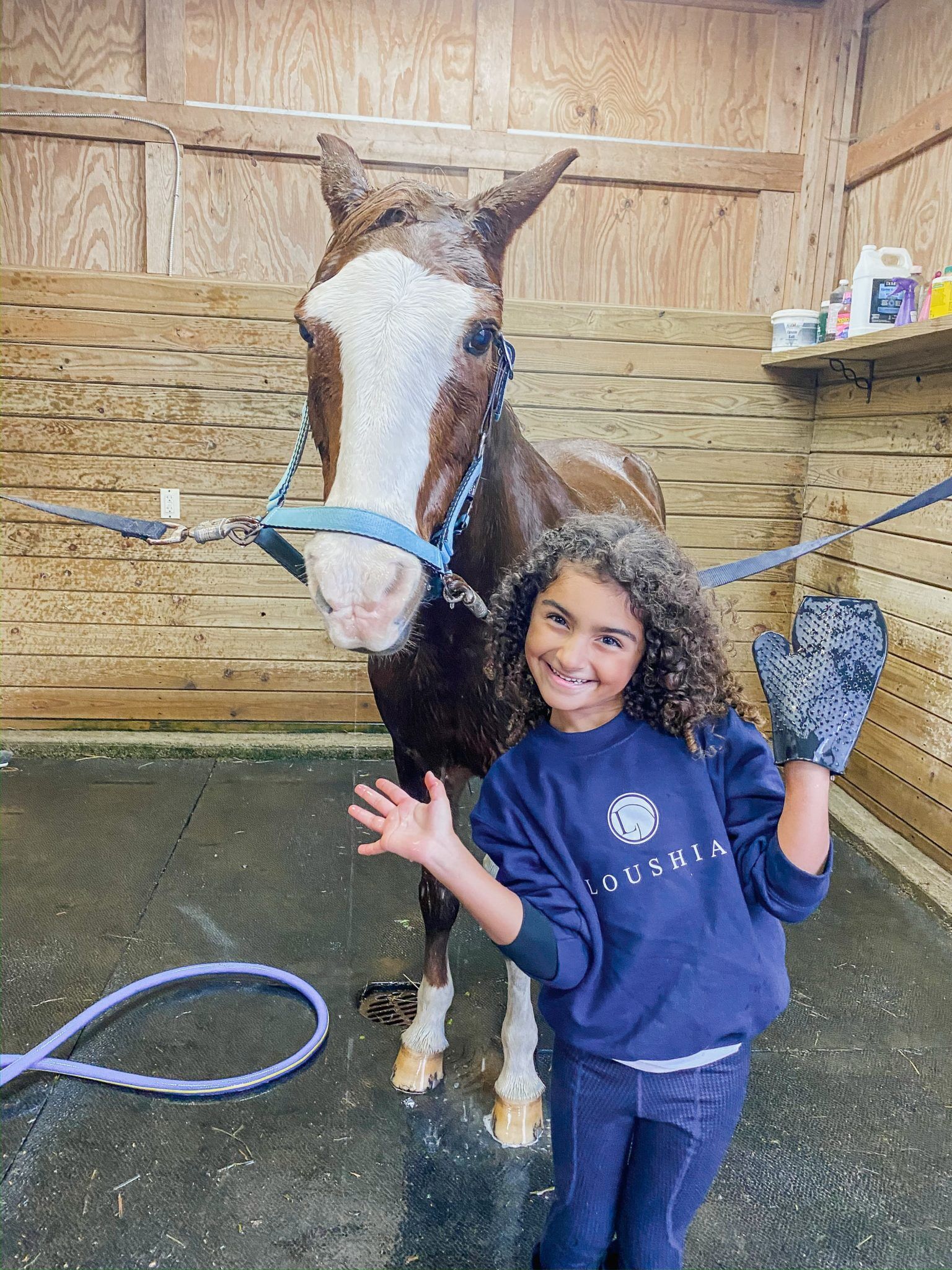 Bonding 101: How to Make the Most of Your Horse Time - Horse Rookie