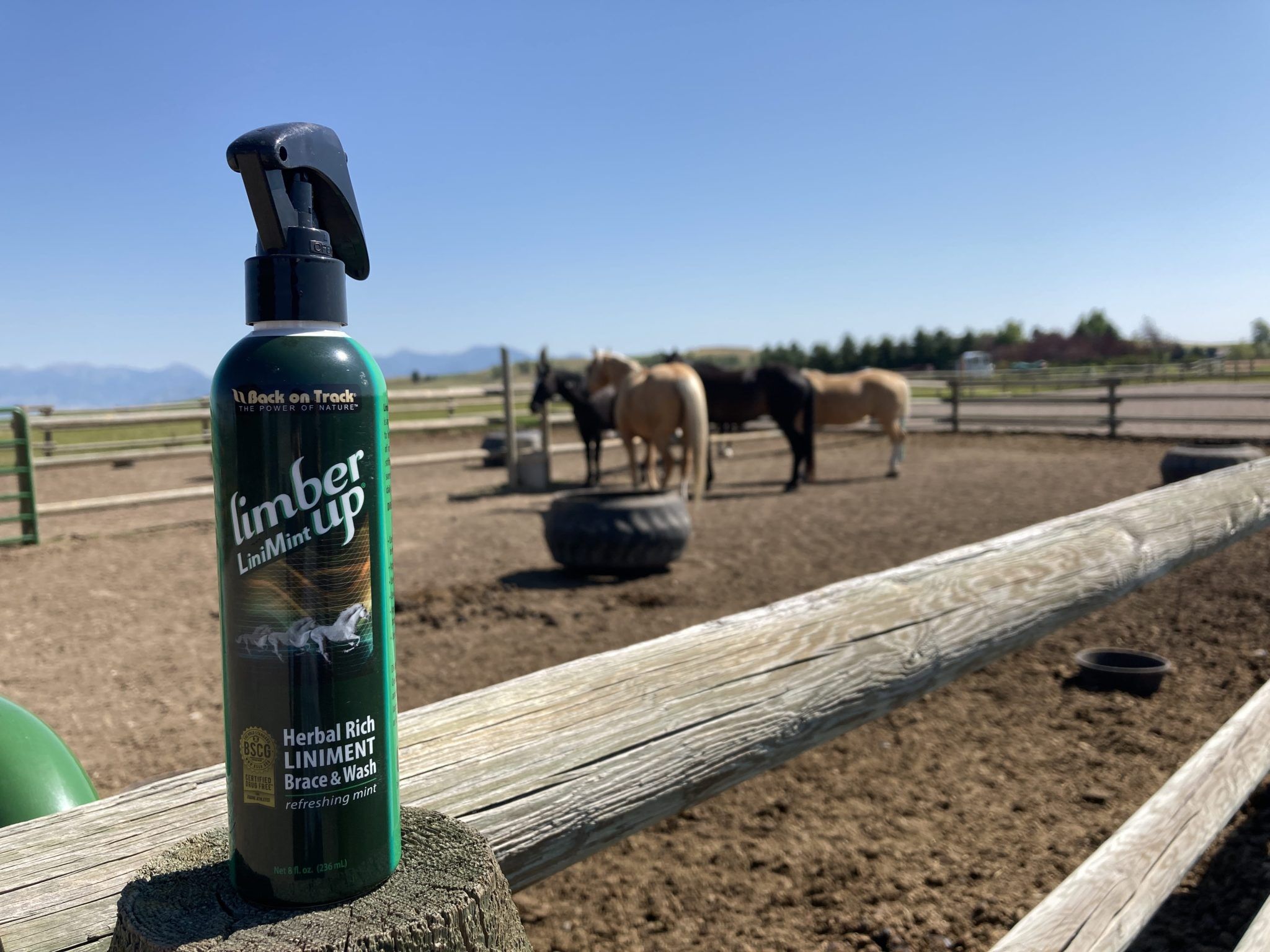 When, Why, and How to Use Liniment on Horses - Horse Rookie