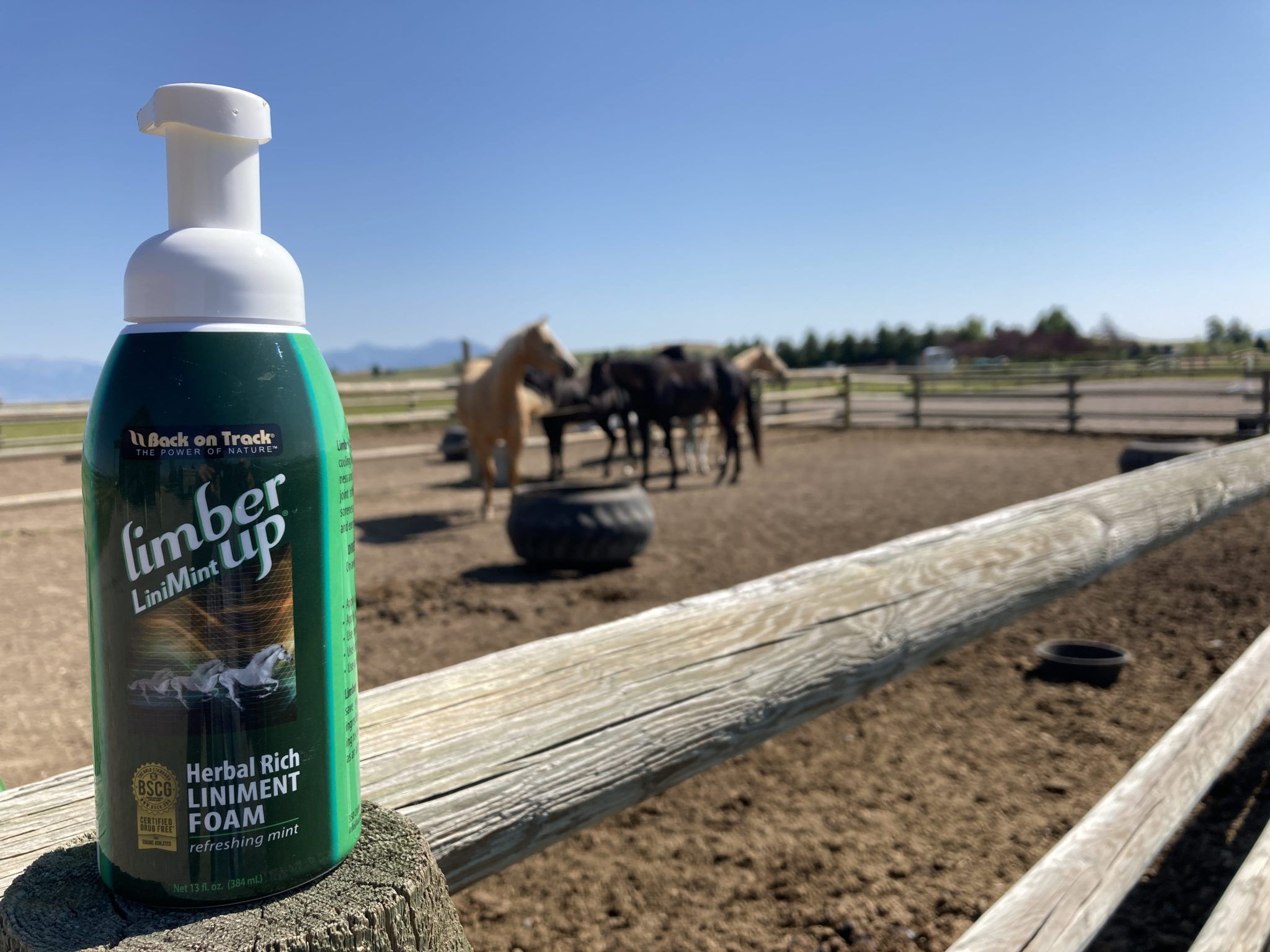 When, Why, and How to Use Liniment on Horses - Horse Rookie
