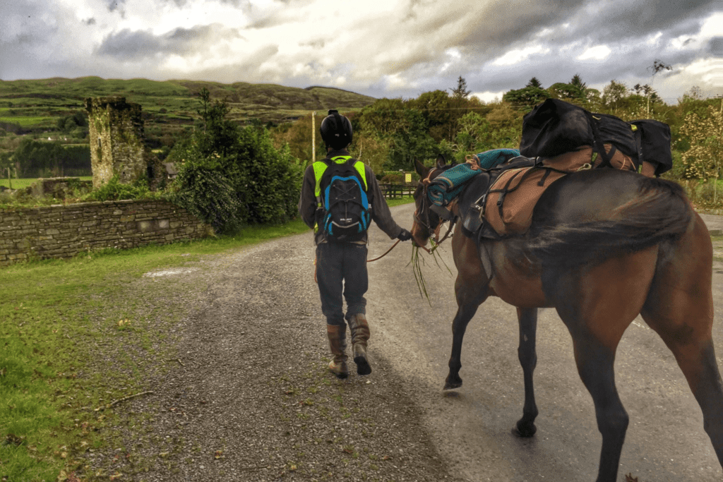 Equestrian Adventuress on Riding Horses in Ireland - Horse Rookie
