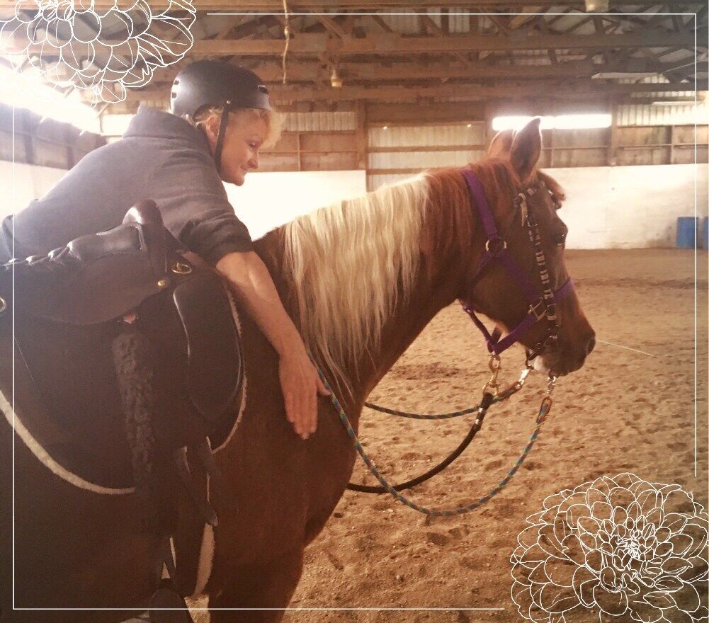 Case Study: Rose - Session One - Horse Rookie