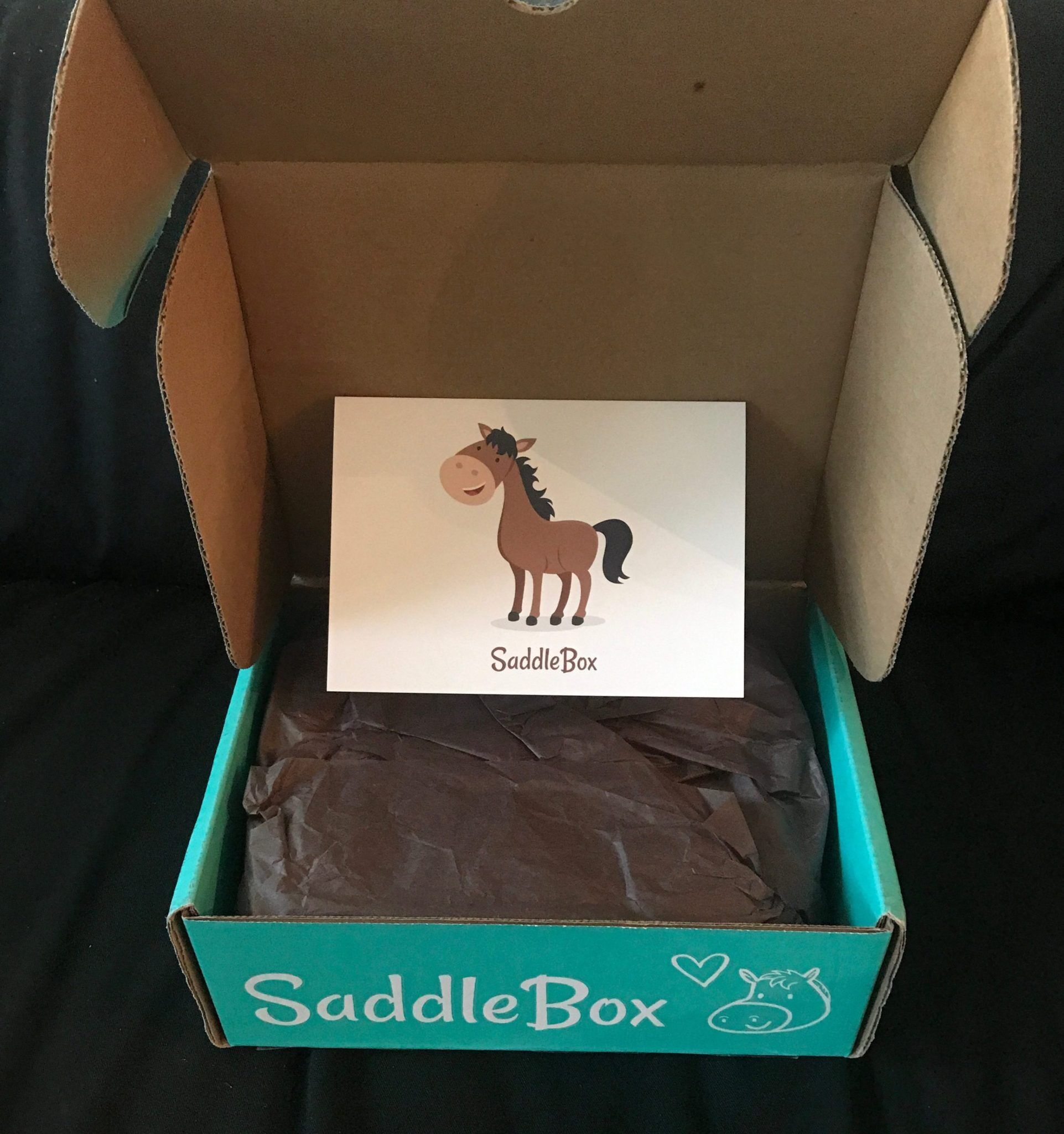SaddleBox Review: More Junk or Hidden Gems? - Horse Rookie