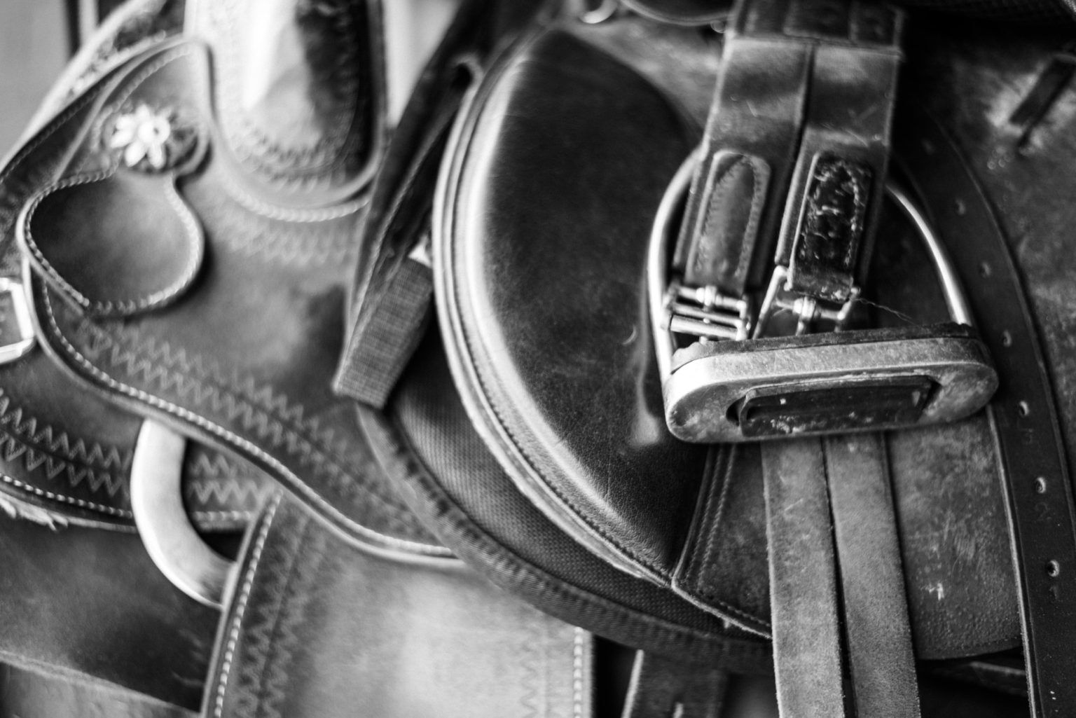6 Essential Supplies for Multidisciplinary Horse Riders - Horse Rookie