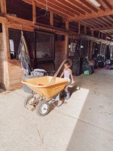 Daily Horse Care Made Simple (Quick-Print Checklist) - Horse Rookie