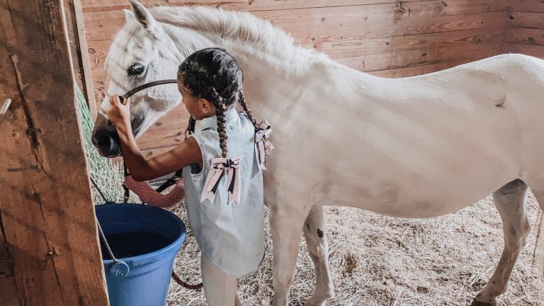 Daily Horse Care Made Simple (Quick-Print Checklist) - Horse Rookie