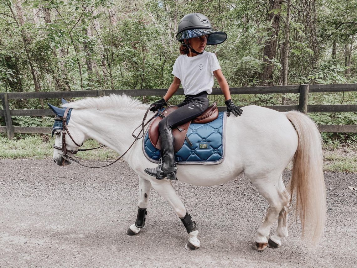 Pony Lifespan 101 (Life Stages, Teeth, Senior Pony Care) - Horse Rookie