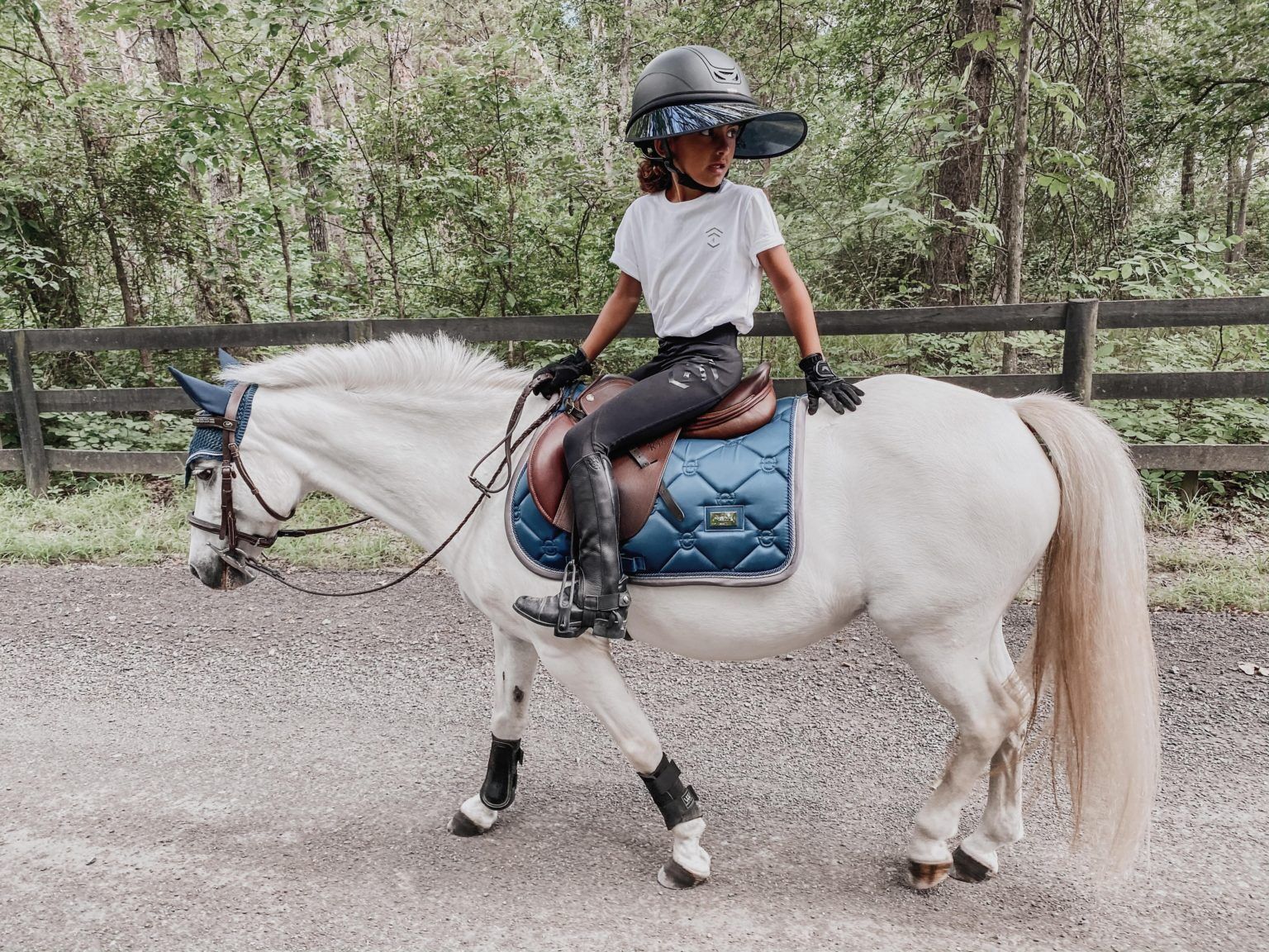 Pony Lifespan 101 (Life Stages, Teeth, Senior Pony Care) - Horse Rookie