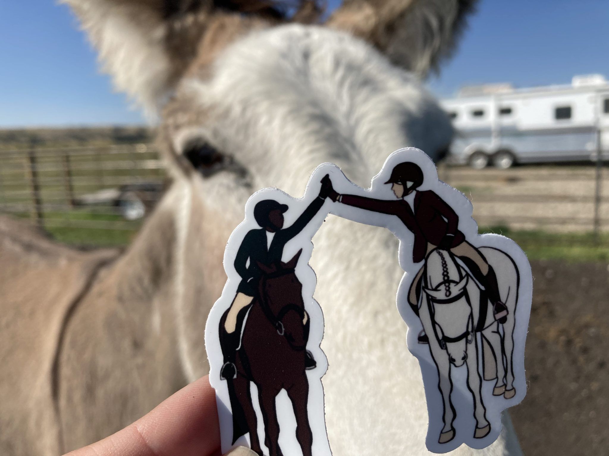 Small Business Spotlight: The Positive Equestrian - Horse Rookie