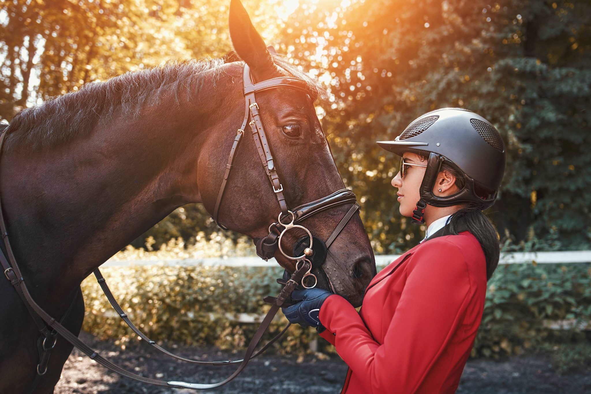 10 Best Horse Riding Helmets (Dressage, Jumping, etc.) - Horse Rookie
