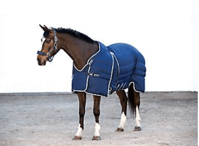 Horse care 101: Turnout blankets vs. stable blankets - Horse Rookie
