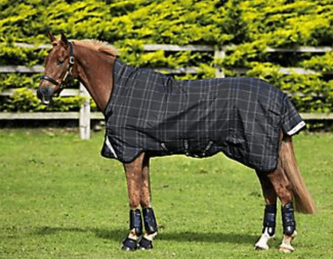 Horse care 101: Turnout blankets vs. stable blankets - Horse Rookie