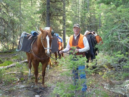 5 Best Horse Breeds for Rugged Mountain Hunting - Horse Rookie