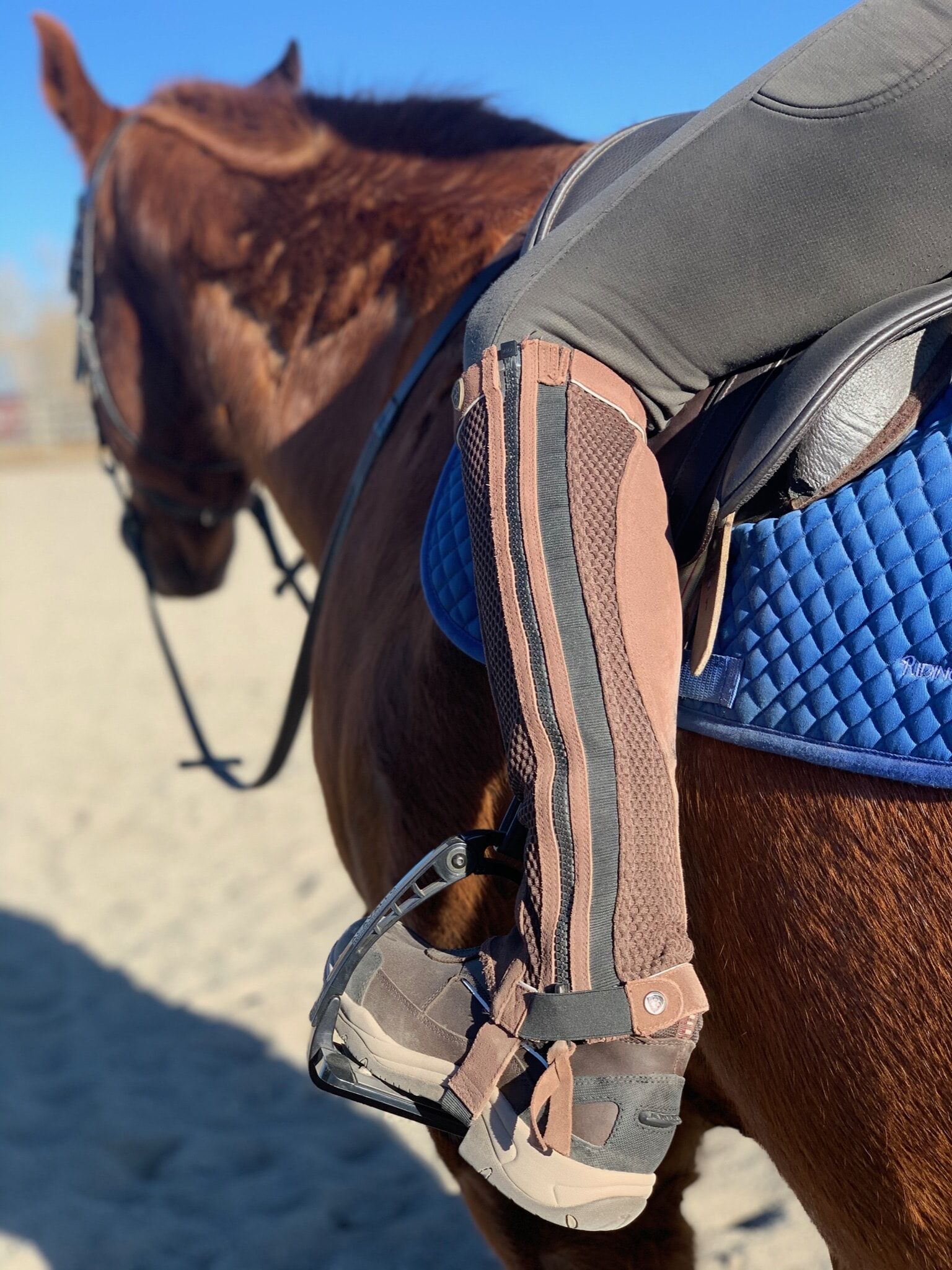 My New Forever Riding Boot (Ariat Telluride Boots Review) - Horse Rookie