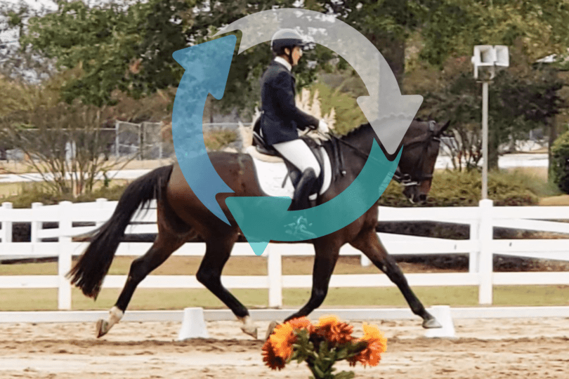 Dressage Circle of the Aids: Putting it Into Action - Horse Rookie